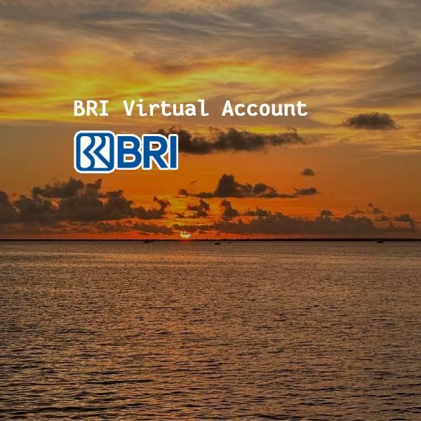 Virtual Account BRI - ePayindo